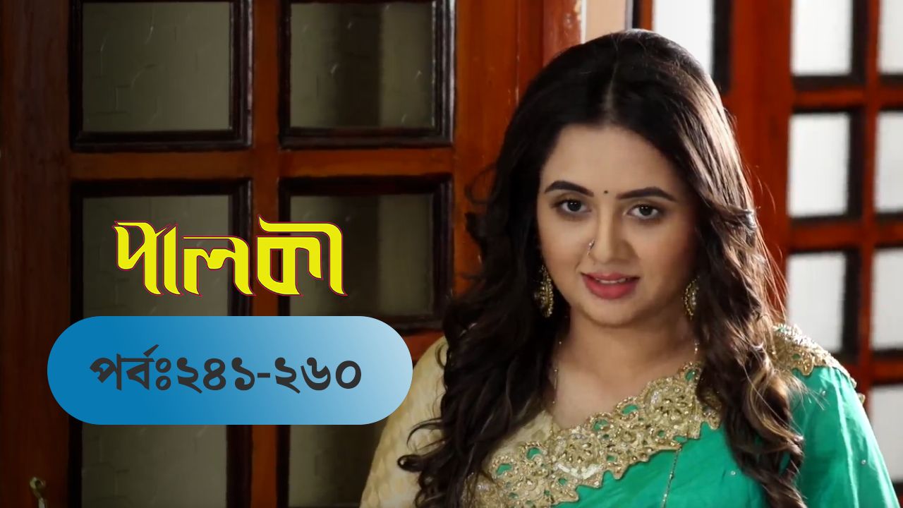 Palki | EP 241 TO EP 260