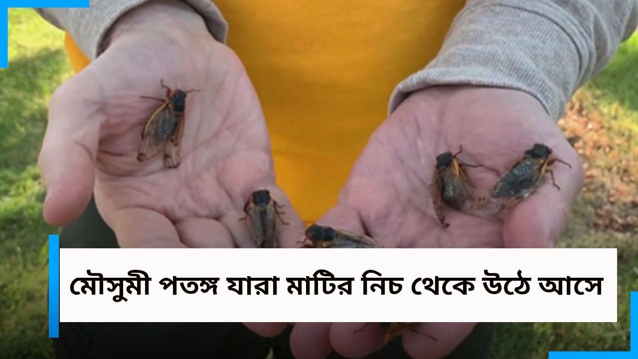 moushumi potongo | DW Documentary